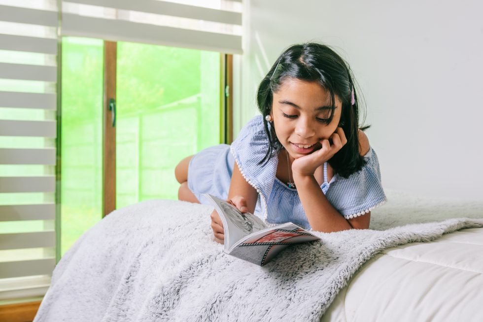 Protección de las ventanas contra mosquitos E | Inchalam